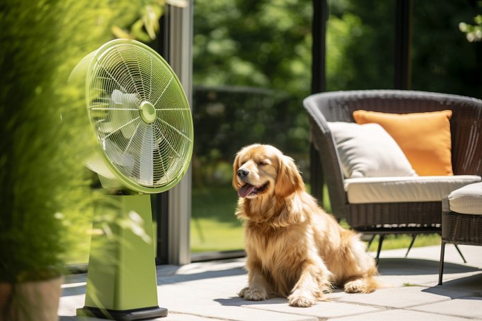 Can Dogs Feel Fans? Answered Facts & FAQs