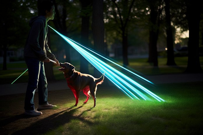 Can Dogs See a Laser Pointer? Answered Facts & FAQs
